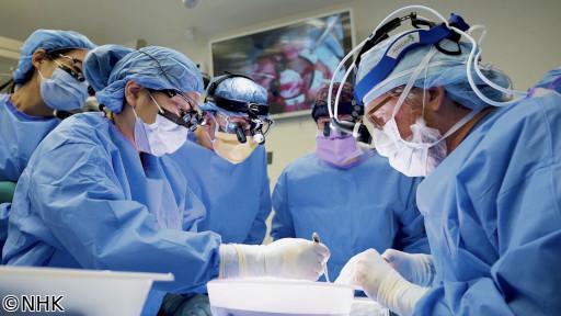 NHKスペシャル 人体Ⅲ 第3集 命のつながり 細胞40億年の旅[字] - Gガイド.テレビ王国