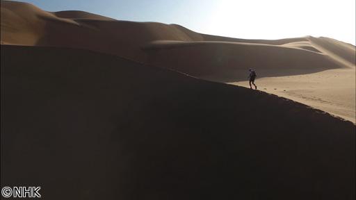 グレートレース セレクション ナミブ砂漠250km 人生を変える旅路[字] - Gガイド.テレビ王国